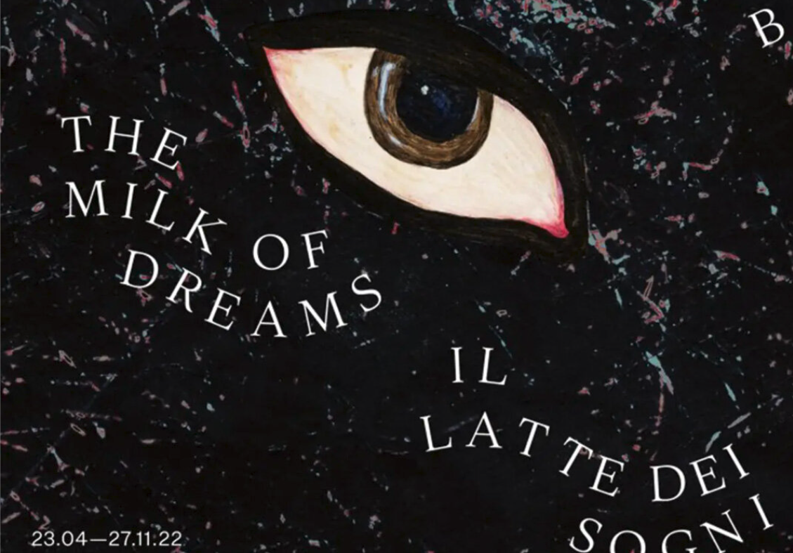 Rosi Braidotti at the Venice Biennale - Rhizomic Research